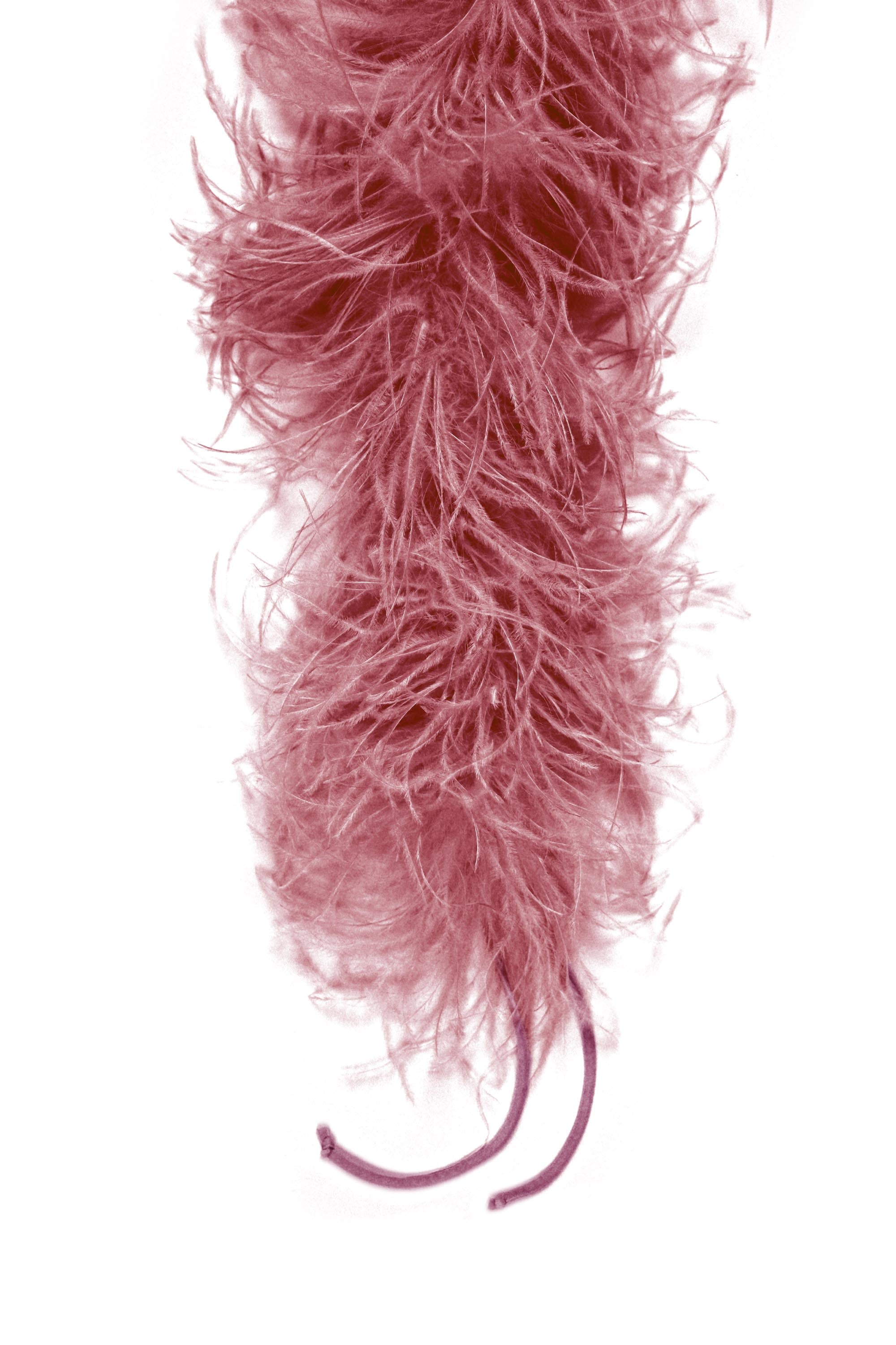 FEATHERS BOA - Chiara Boni Official